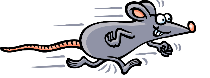 Mouse Races Fundraiser Jan 13th – Fike Baseball